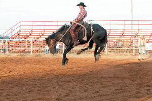 35th Annual Duncan Noon Lion's Club Open Rodeo - Duncan Convention ...