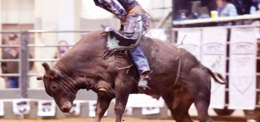 Duncan Convention & Visitor's Bureau – The spirit of the old west ...