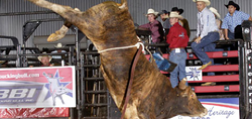 Duncan Convention & Visitor's Bureau – The spirit of the old west ...