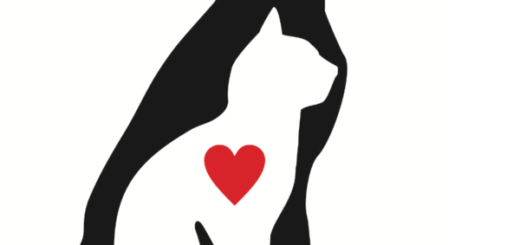 Home - Duncan Convention & Visitor's Bureau